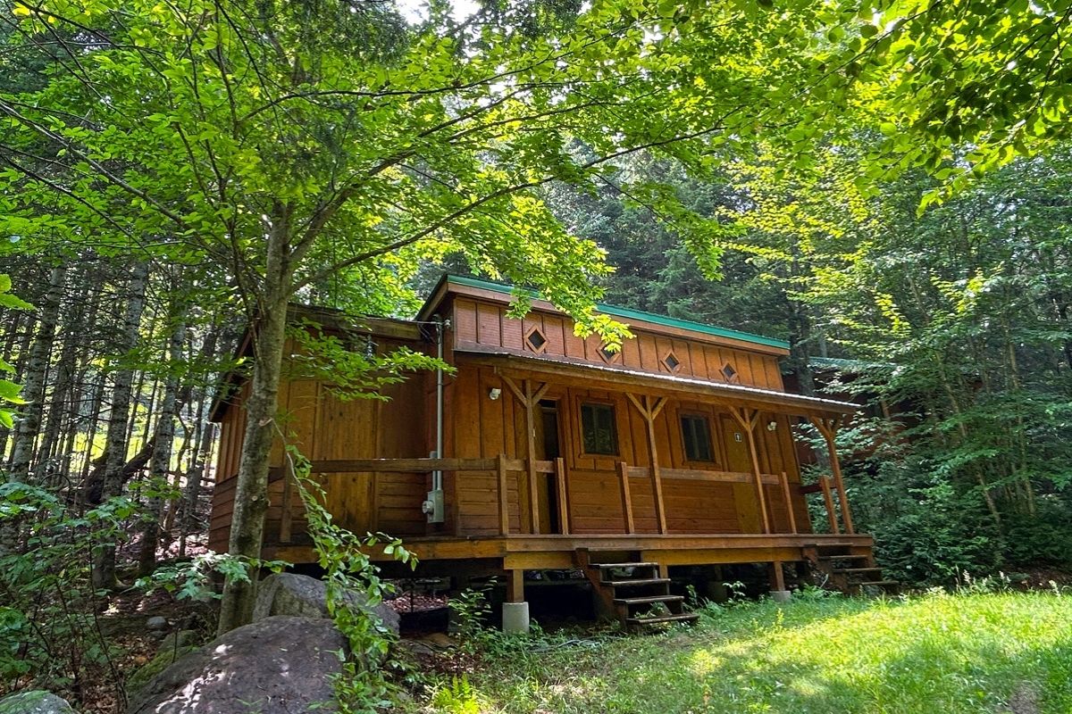 Yoga & Forest Bathing – Sivananda Yoga Canada